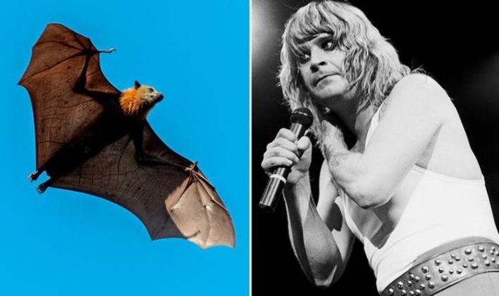 Ozzy Osbourne on how he ended up biting off a bat’s head – ‘It was a ...